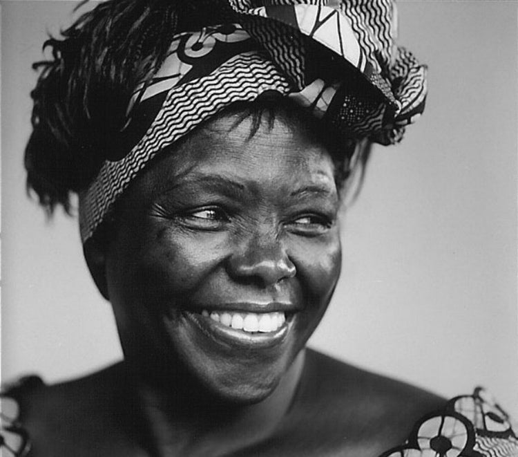 celebrating black history month wangari muta maathai – Ubuntu Life